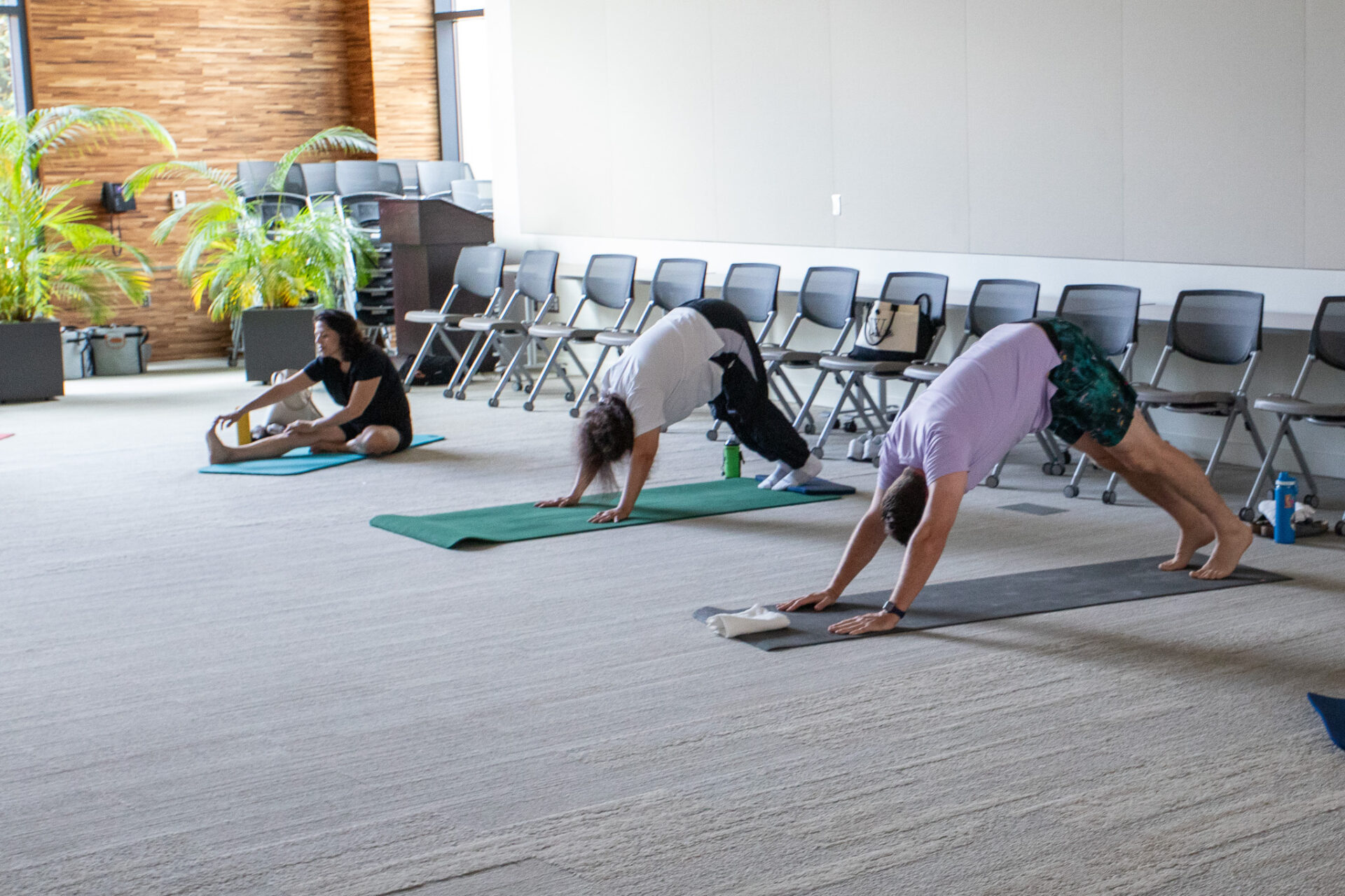 Winter Park Health Foundation